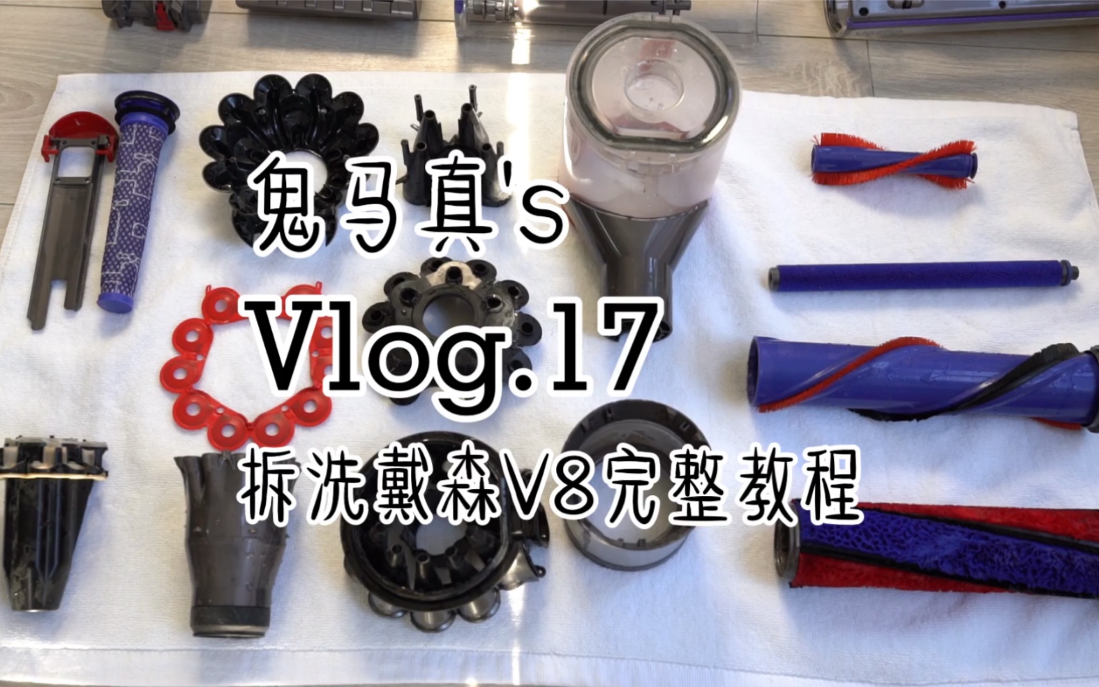 Vlog.17拆洗戴森V8完整教程,送给爱清洁的洁癖们