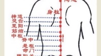 穴位解读(神道穴)