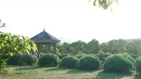 敢迎风浪立潮头 峡江中学宣传片