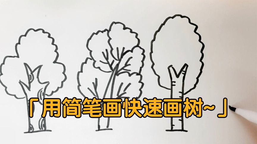 如何快速用简笔画画树~~