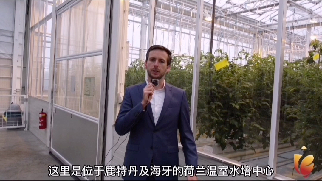 荷兰创新中心之世界园艺中心,全球高科技园艺文化密集地,拥有着3000...