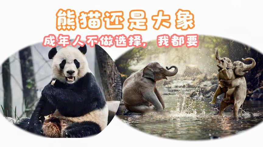 #义工研学旅行#这样有意义又好玩的旅行,你一定没见过