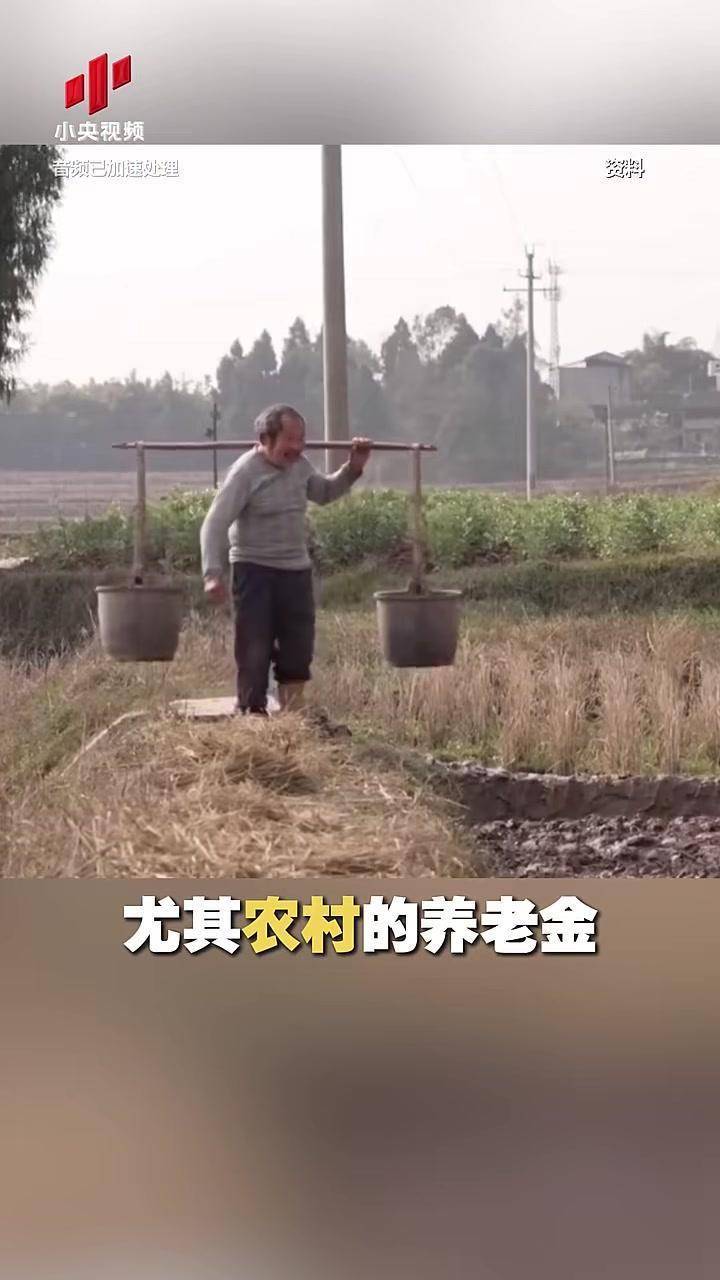 "让农村老人收入增加一些也是在帮助他们的孩子"白岩松谈农村养老金...