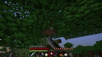 ★我的世界★Minecraft 新手教程 高大上の黑橡木门