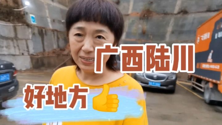 东北大姐自驾去海南#途经广西陆川#离广东湛江轮渡码头越来越近