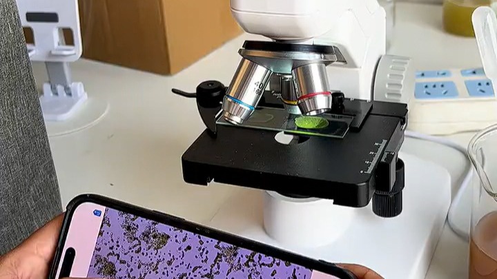 带孩子用显微镜观察细菌,了解微观世界,激发科学兴趣。