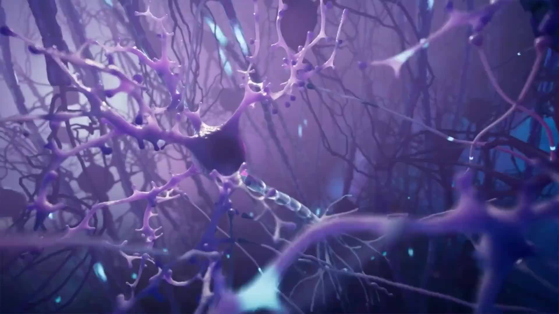 兴奋在神经元上的传递过程 #生物 #神经细胞 #动作电位 #突触