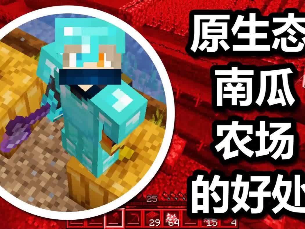 我的世界 纯生存 尝试篇 火焰解说 原生态南瓜农场的好处