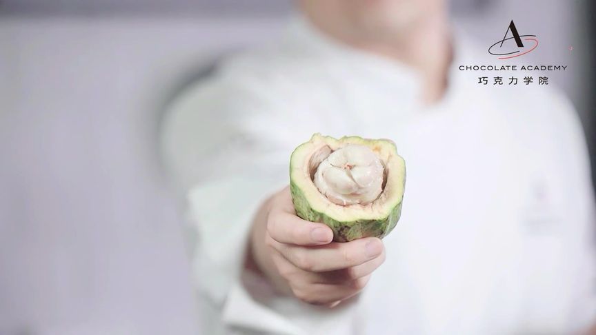 巧克力是用咖啡豆做的吗?分不清可可豆和咖啡豆?点进来看咯