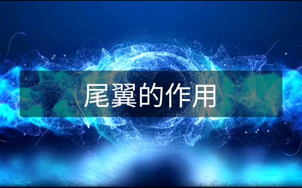 尾翼的作用