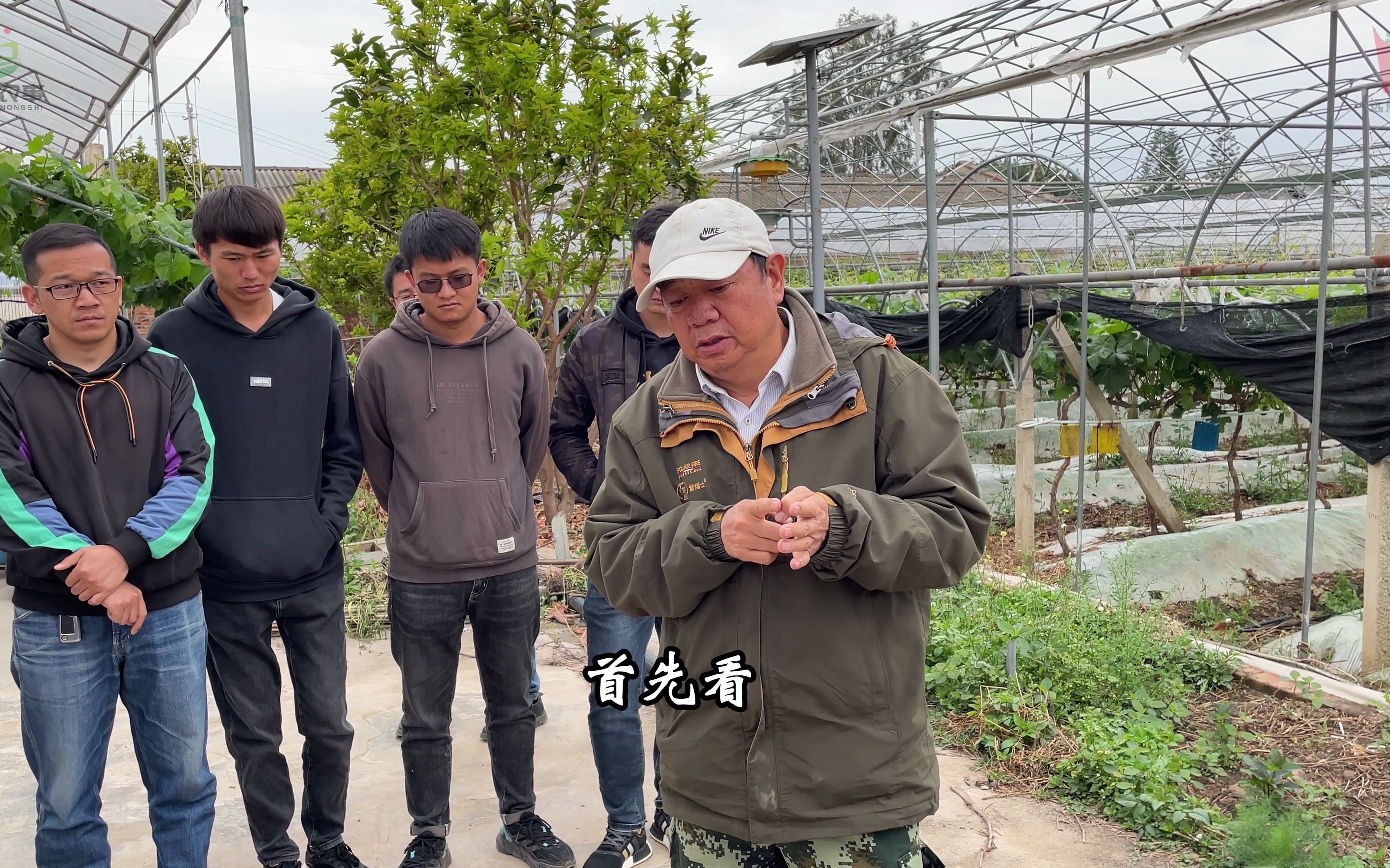 【宾川农事】农药使用过程中需要注意的问题
