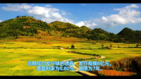 绿债暖冬:寿光惠农撬动现代农业生产模式