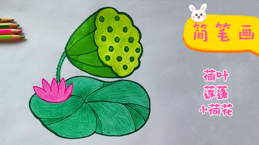 #少儿招募计划# 简笔画小荷花、大莲蓬,培养少儿想象力色彩认知
