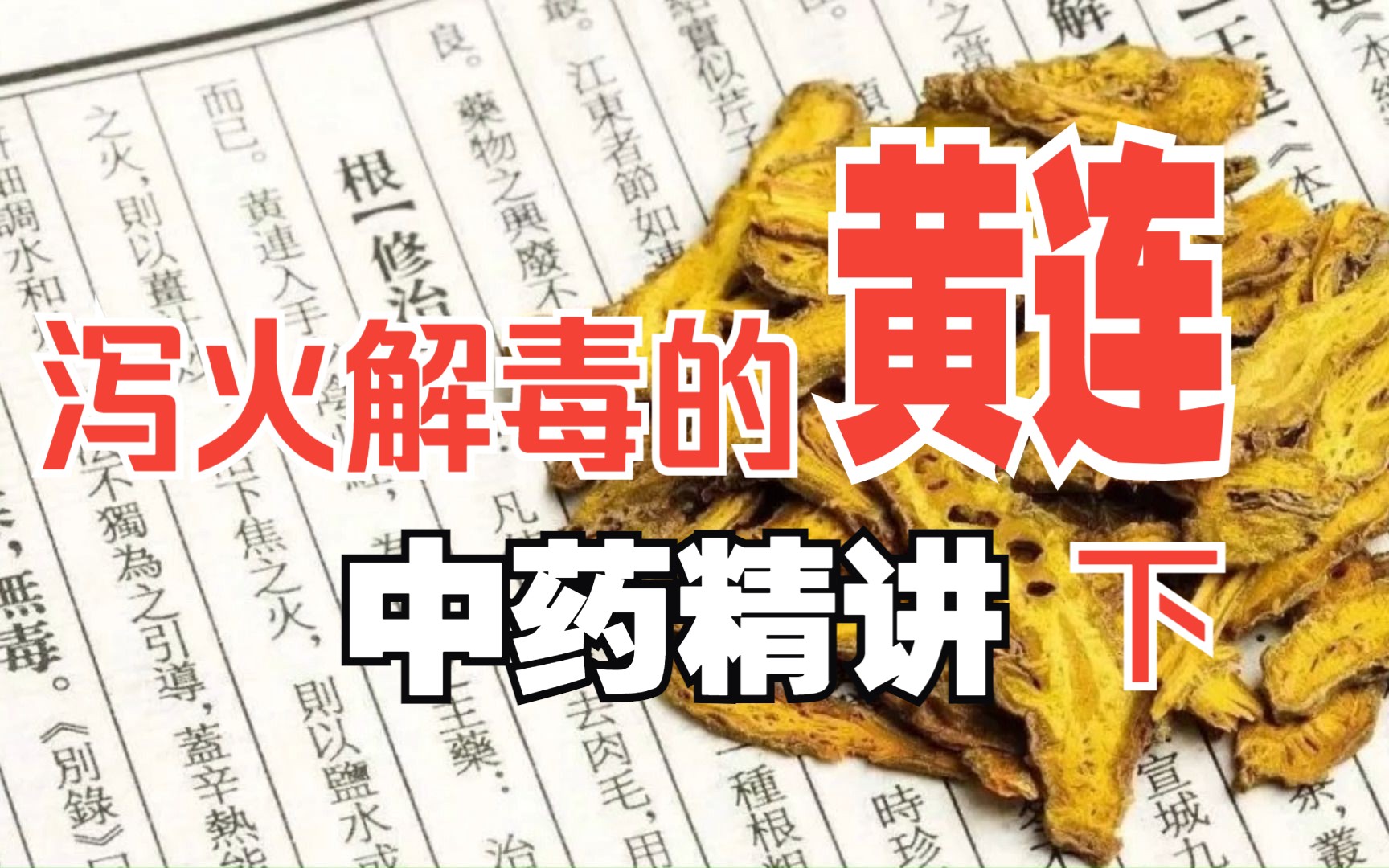 中药精讲:泻火解毒的黄连 下