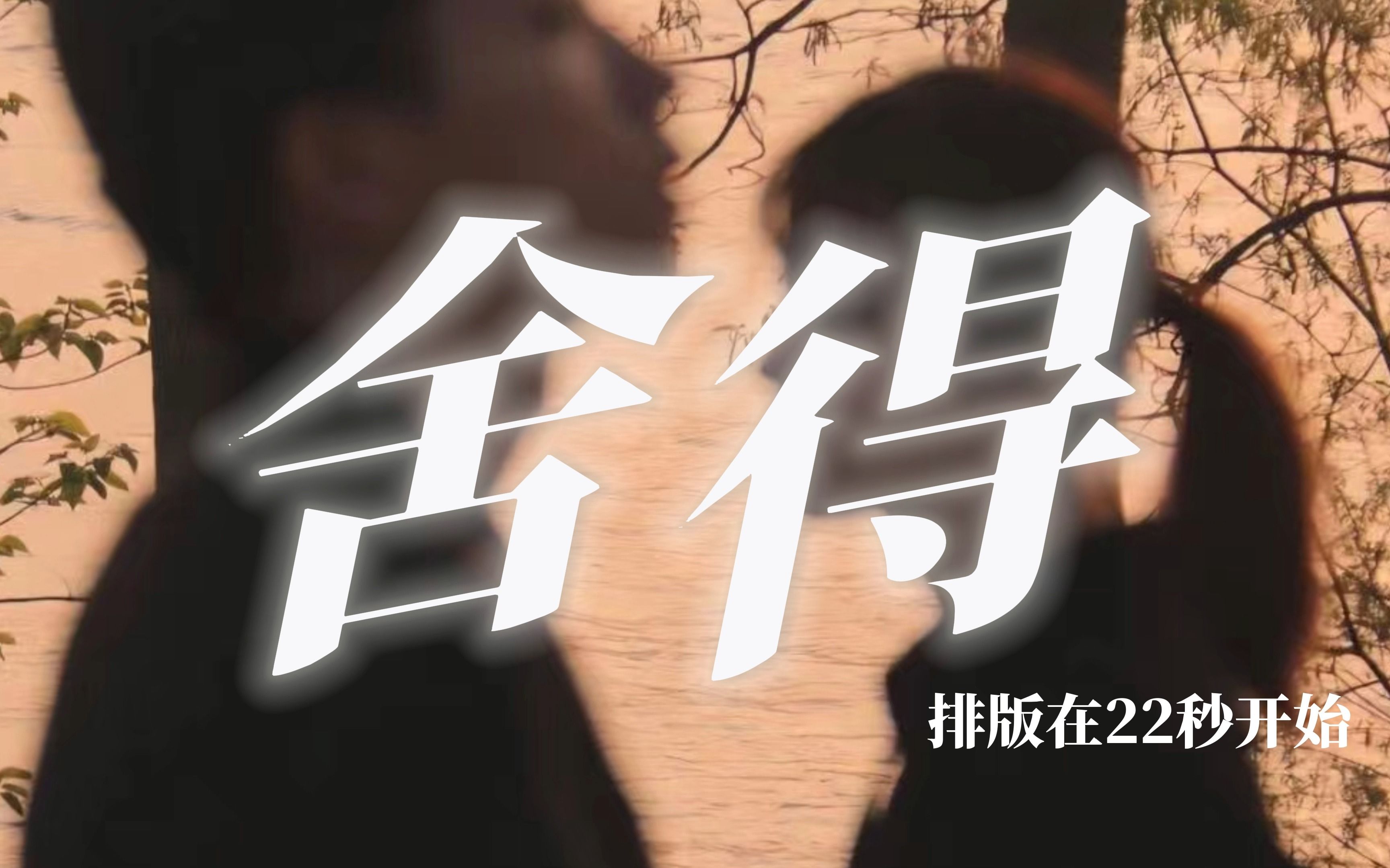 【动态歌词排版】舍得|“用尽伤人的话去说,都没想能不能收得回啊”