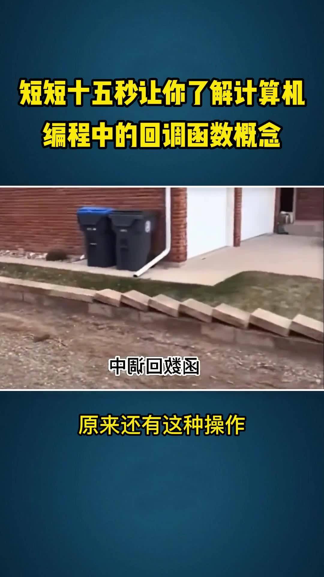 一行行代码,搭建起数字世界的基石