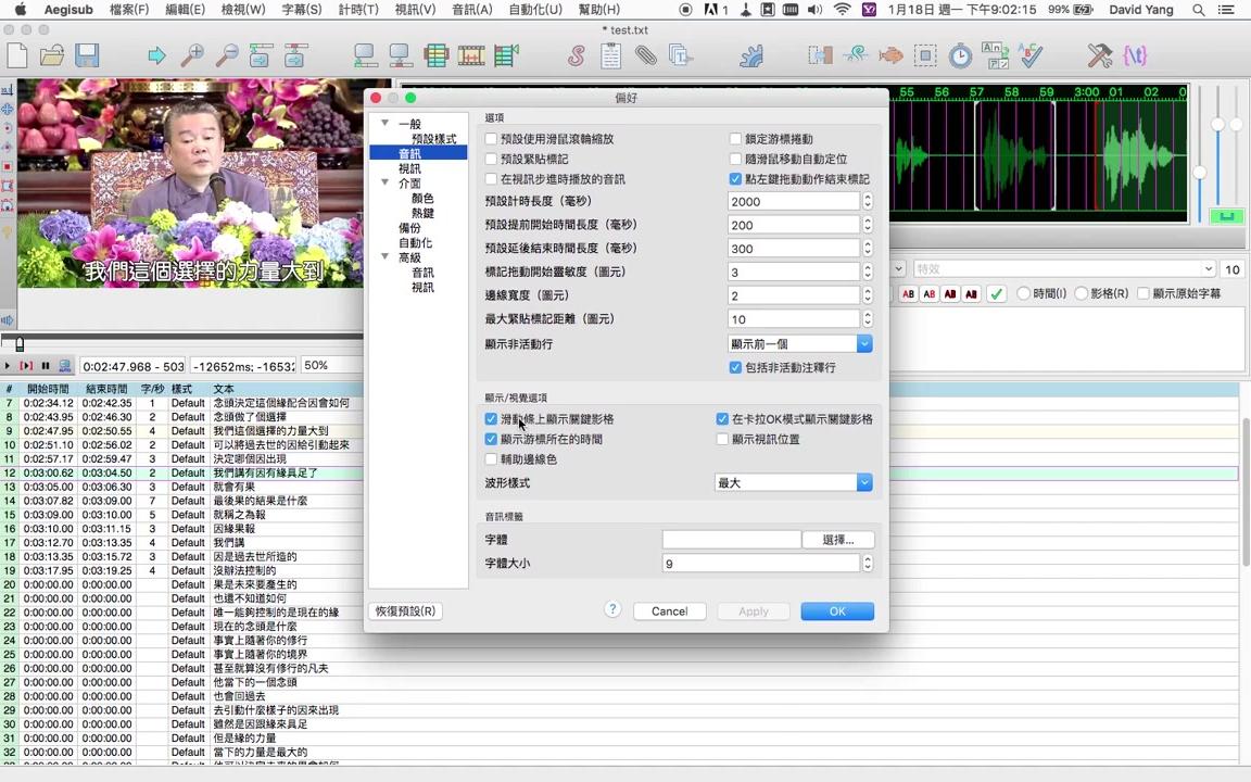 Aegisub快速鍵教學