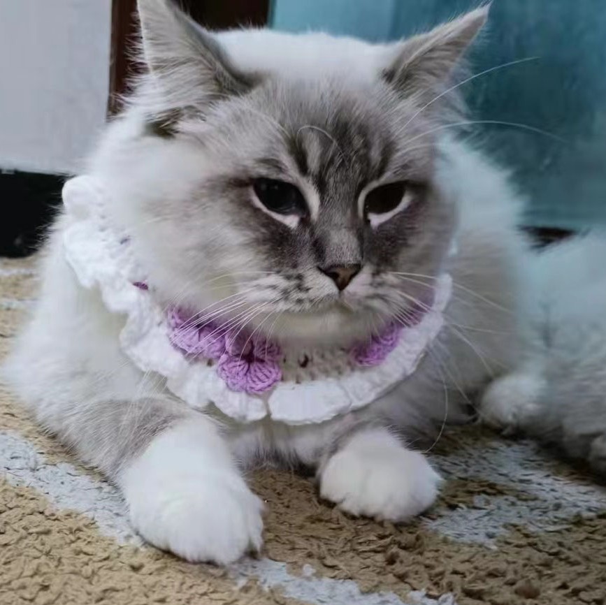 丰玲手工 