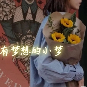 有梦想的小梦 