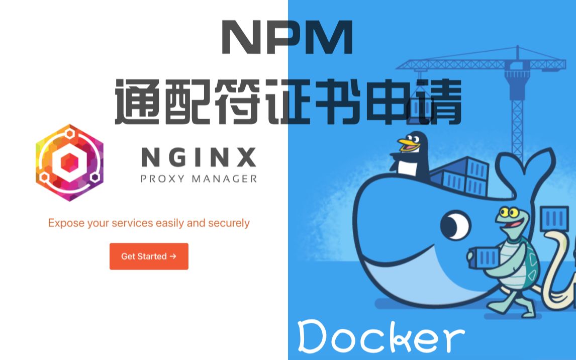 反向代理神器NginxProxyManager——通配符SSL证书申请