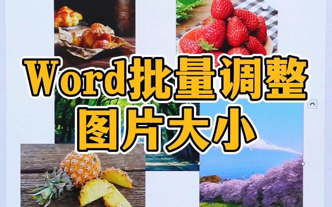 word批量调整图片大小