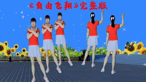 DJ健身操《自由飞翔》完整版,动感活力,减肥燃脂,增强免疫力