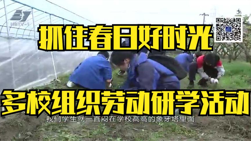 抓住春日好时光 多校组织劳动研学活动