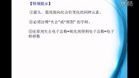 《氧化还原反应中电子转移的表示方法》高一化学(林炽玲)
