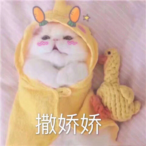 不想努力的木木茨 