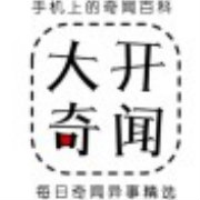 大开奇闻 