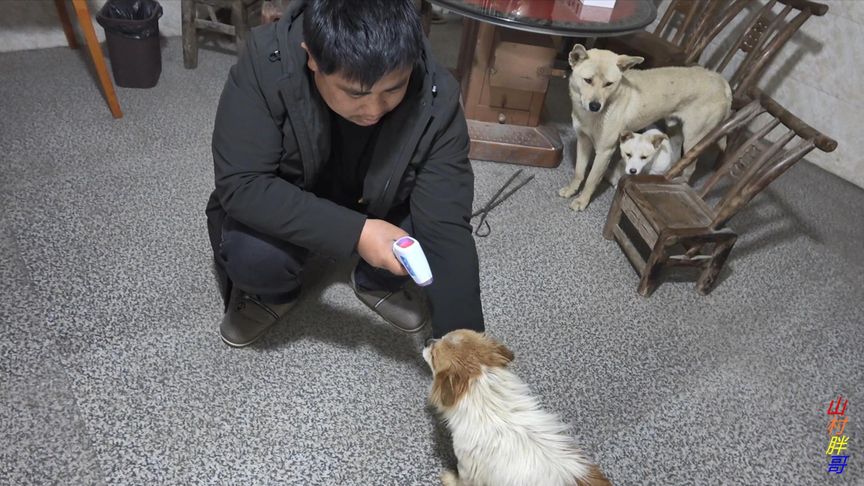 农村大哥花550买一把体温枪,试用了一下感觉不太准,难道被坑了