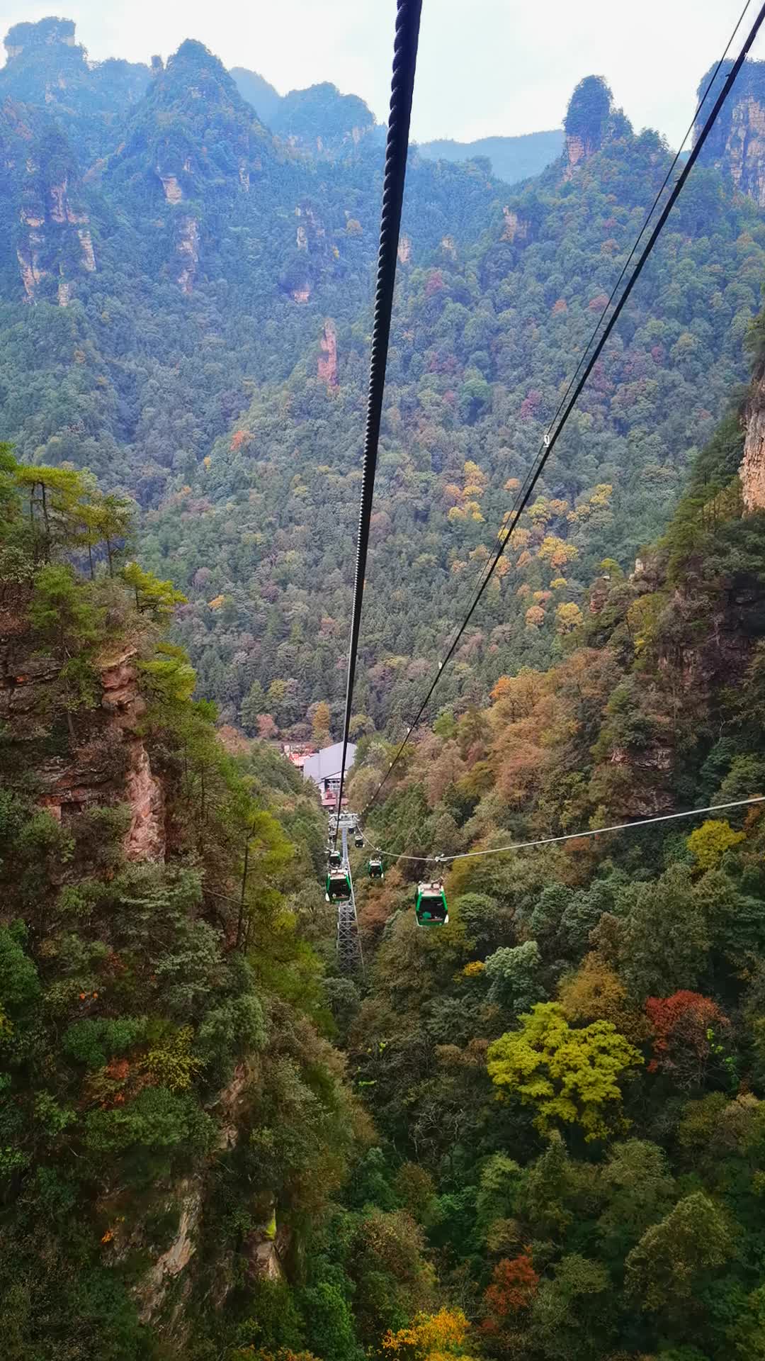 #悬崖峭壁 #天然氧吧 #索道缆车 #张家界 #张家界国家森林公园