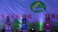 松溪县纪念第19届母亲节暨“5.29”计生协会会员活动日文艺晚会录像