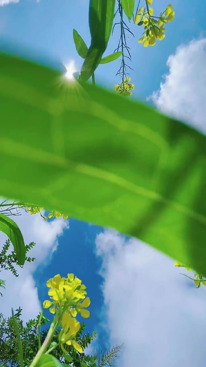 动态模糊,表现速度与动感。