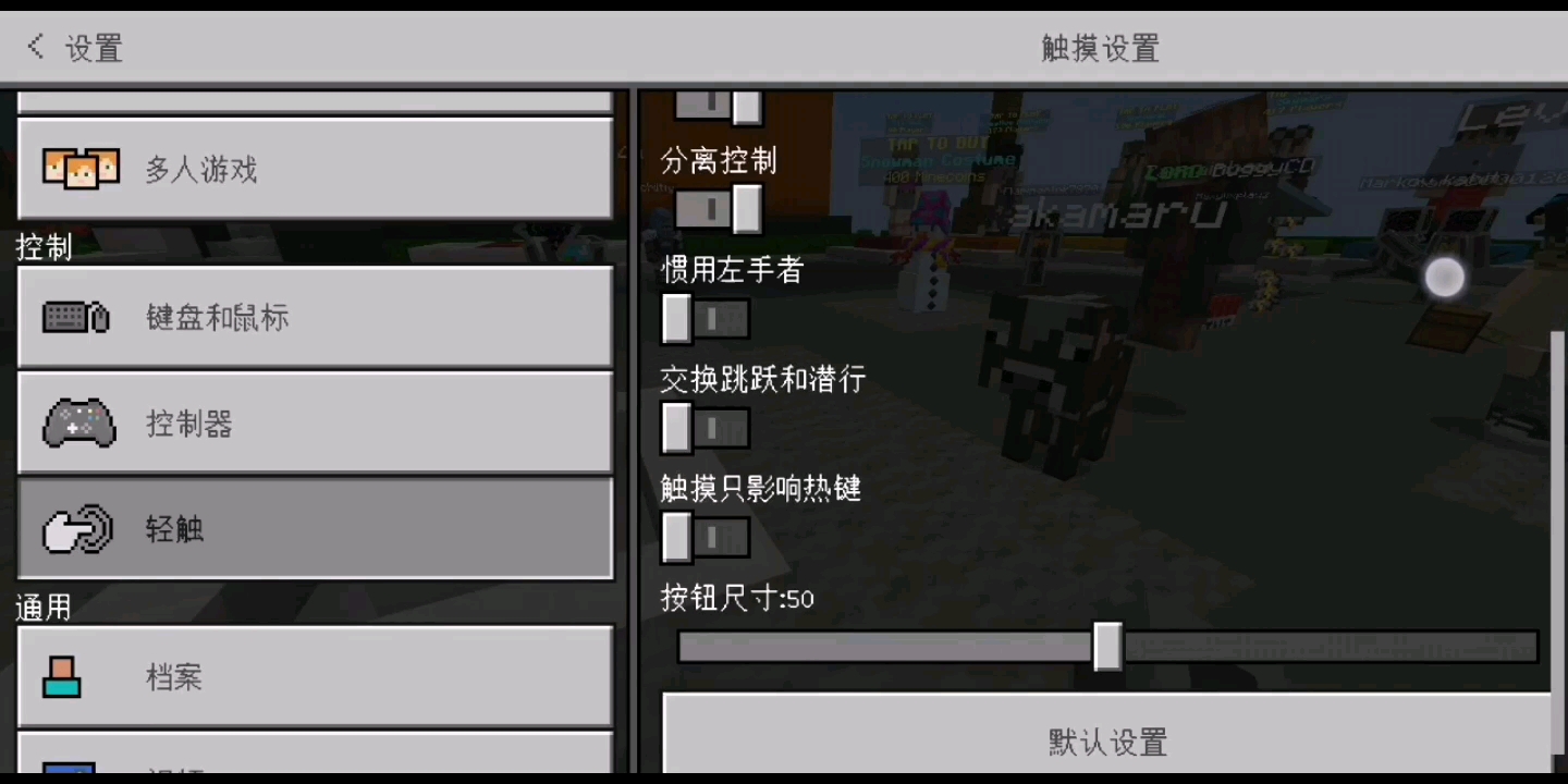 我的世界国际服服务器(手机)!