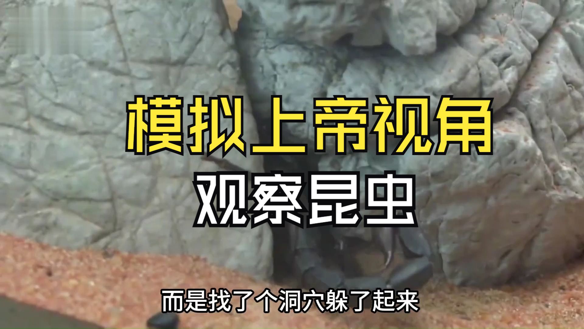 一口气看完所有的沙漠生态系统#上帝模拟器