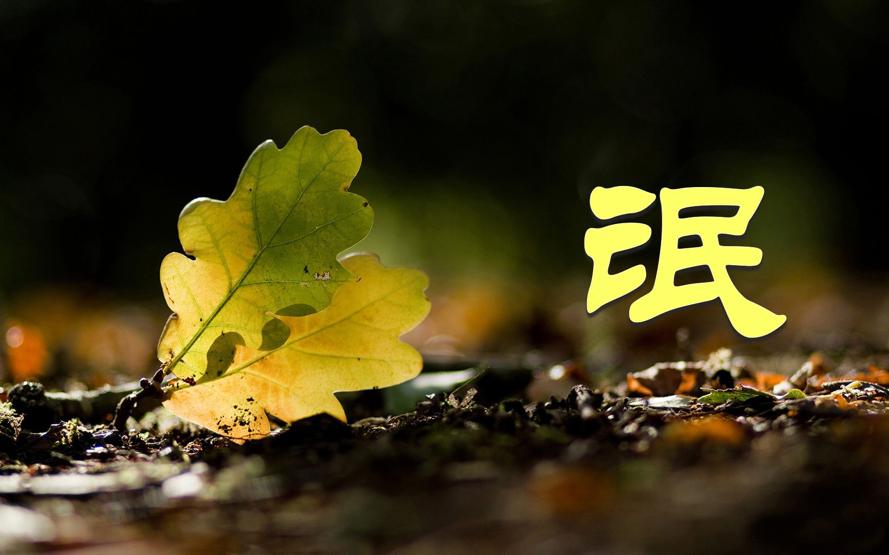 《诗经·氓》:一位弃妇的血泪自白,令人无奈叹息的婚姻悲剧