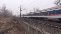 京广铁路T176次交汇K817次 涿州火车站南侧西河村拍车 京广线