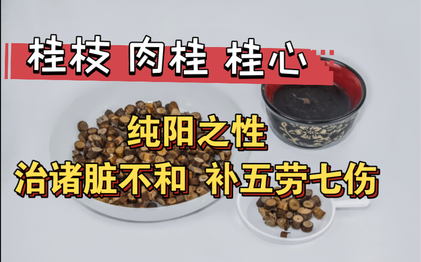 学习中草药——桂枝、肉桂、桂心