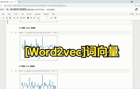 【python数据分析技巧】词向量预训练模型 - 自然语言处理实验演示 -与...