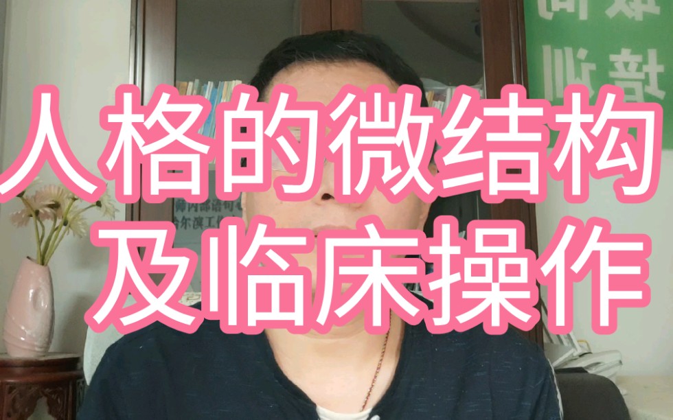 精神分析内部语句学系列讲座2: 人格的微结构及临床操作