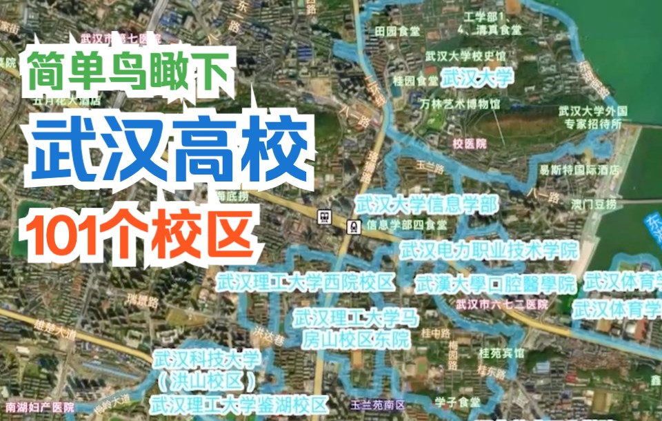 简单鸟瞰下武汉高校的101个校区