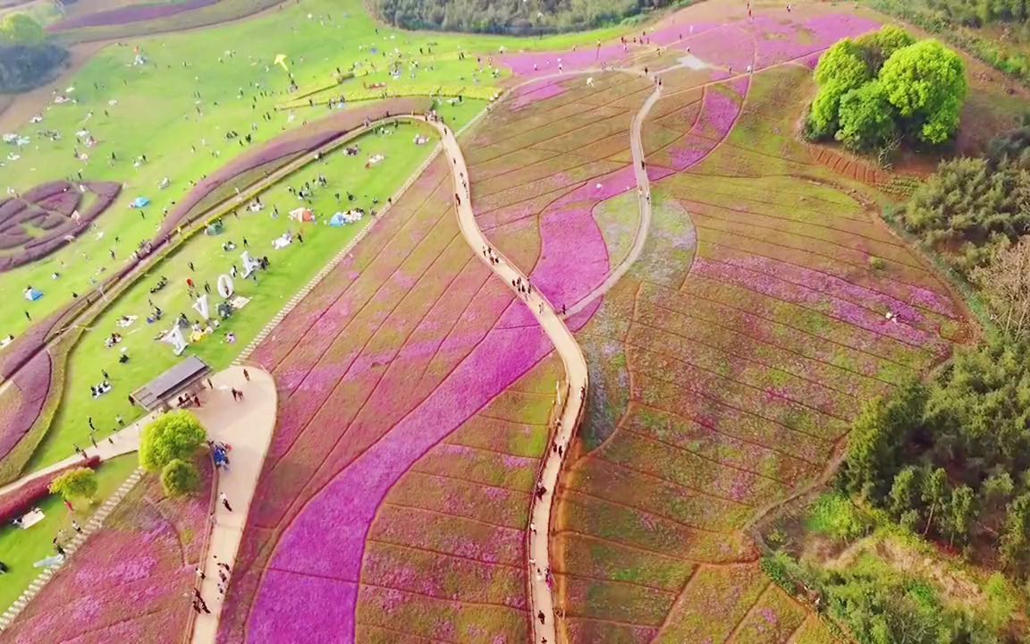 没想到,诸暨这个地方居然还藏了一个如此美丽的HPV“人间仙境”