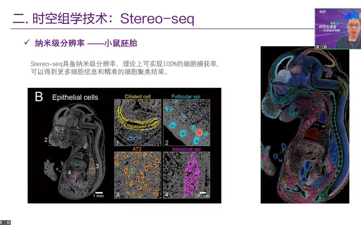 时空云课堂 | Stereo-seq技术及应用案例分享