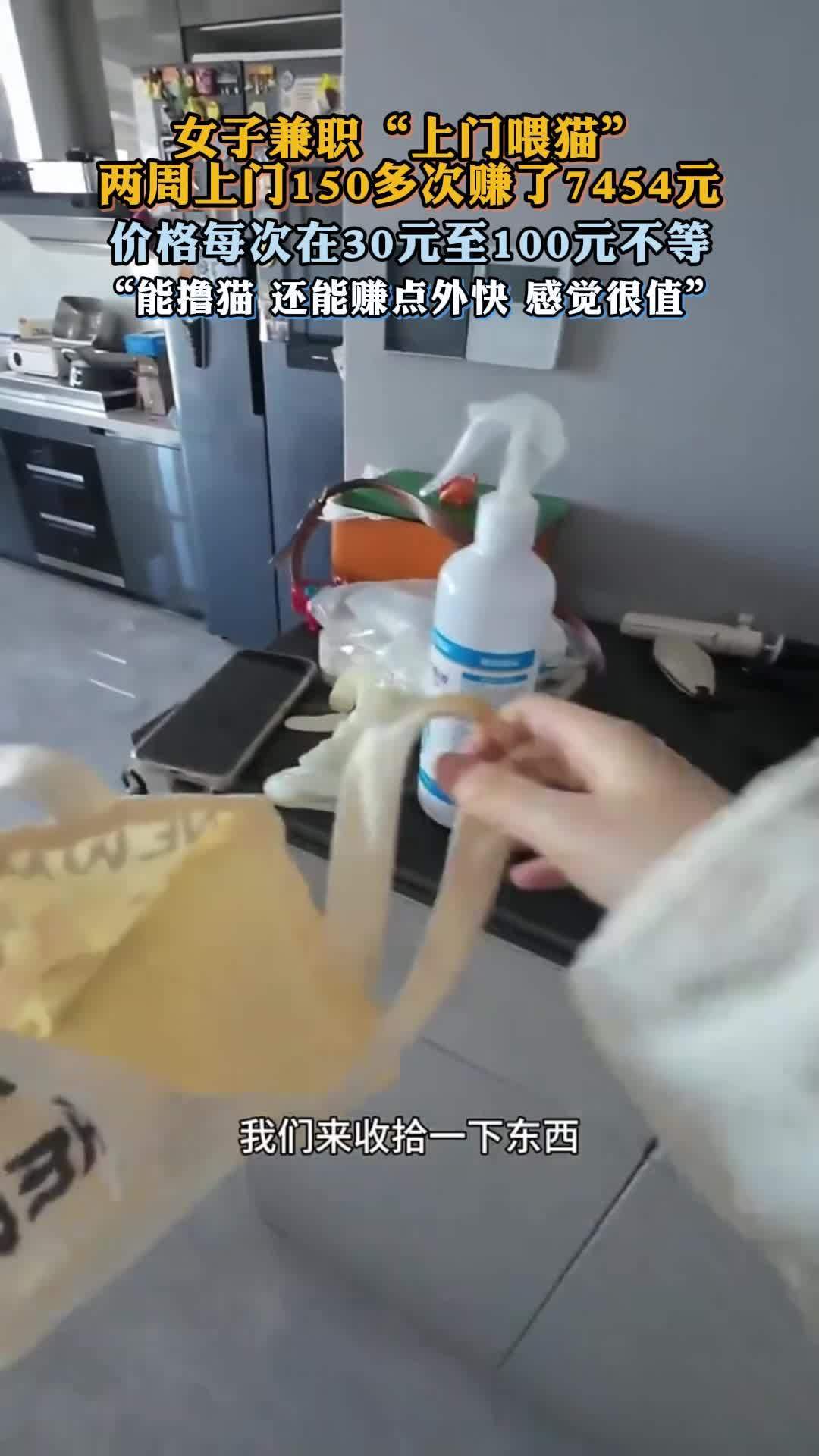 女子兼职"上门喂猫"两周上门150多次赚了7454元。