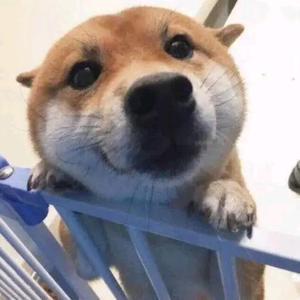 小梁说剧丫
