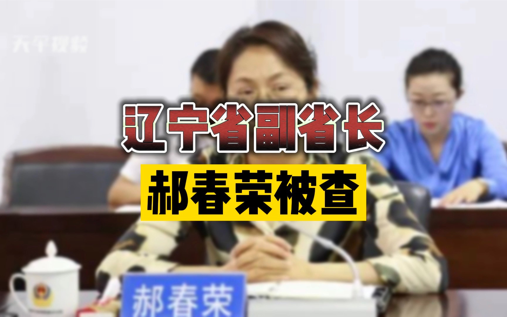 辽宁省副省长郝春荣被查