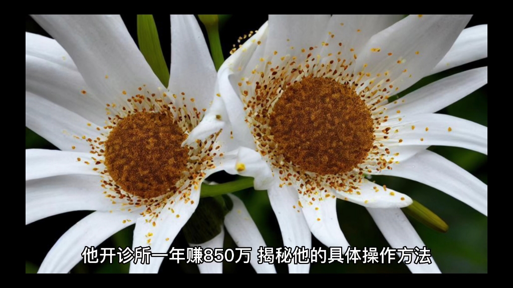 诊所开业活动方案宣传,门诊搞活动宣传怎么写