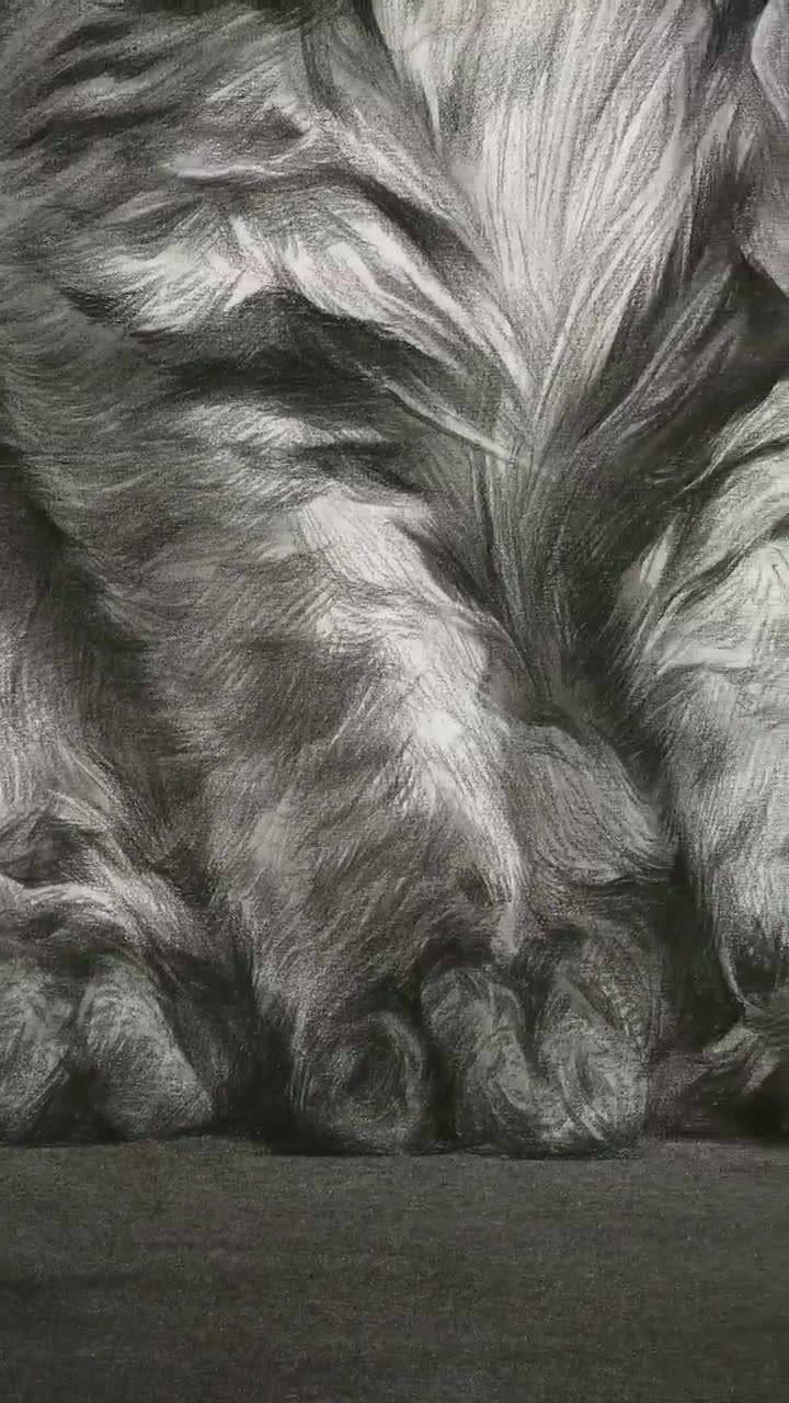 一看就会的简单素描猫咪头像来喽