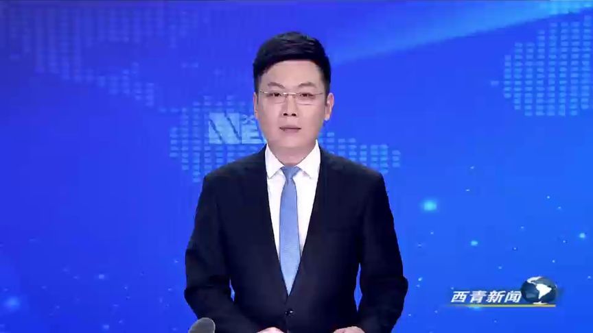 西青区召开宣传思想文化工作会议暨网络安全和信息化工作会议